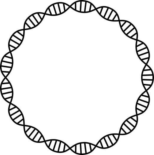 10 Crazy Science Facts That Sound Fake But Are Real! » Story Planets